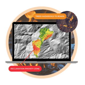 Land & Forestry – Teren